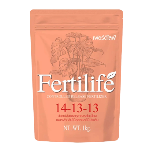 ปุ๋ยกุหลาบ ยี่ห้อไหนดี ช่วยให้ต้นเติบโต ดอกสีสดสวย 2025